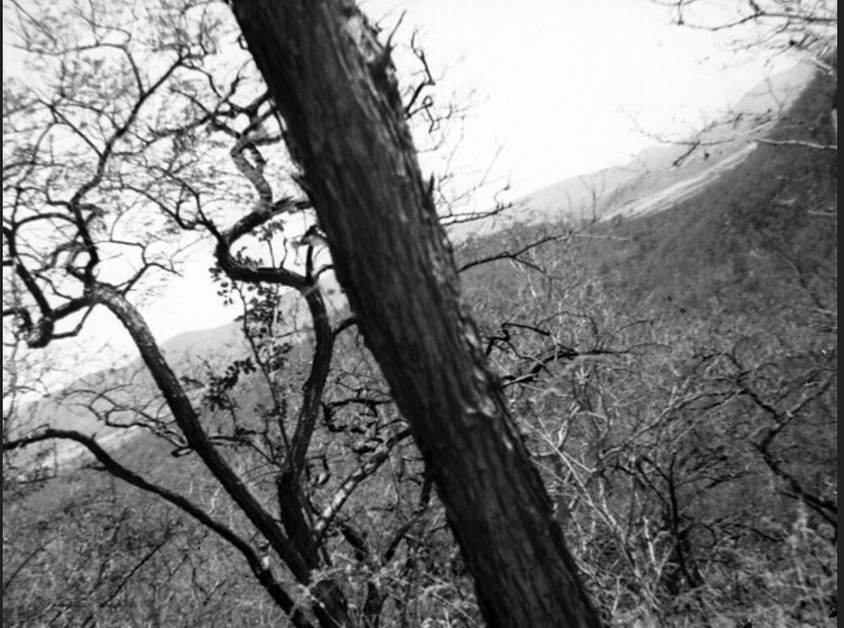 Pictures I took with my FUL-VUE Camera - Sp Inkollu - Medium