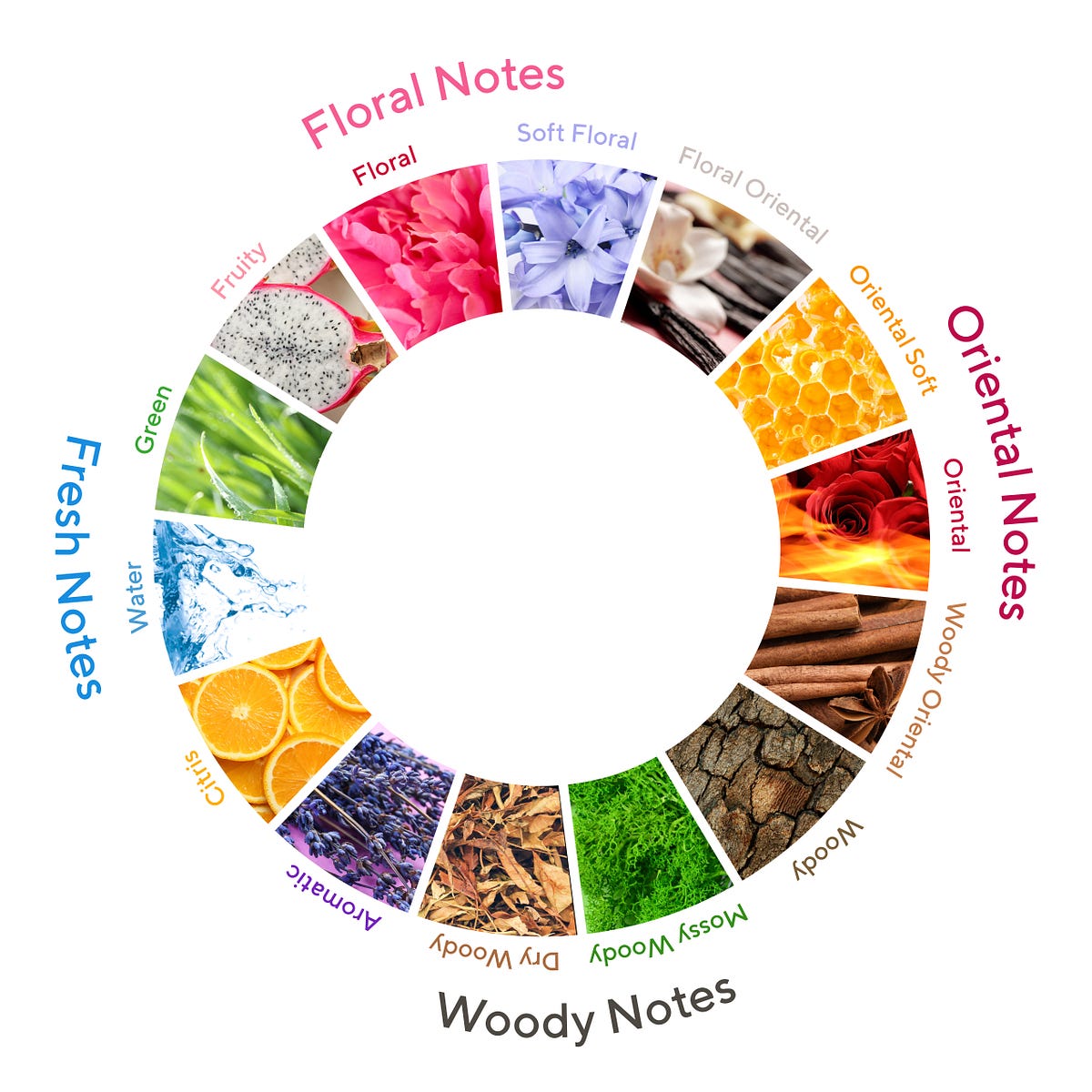 Fragrance families. What is a fragrance family? | by Wolds ...