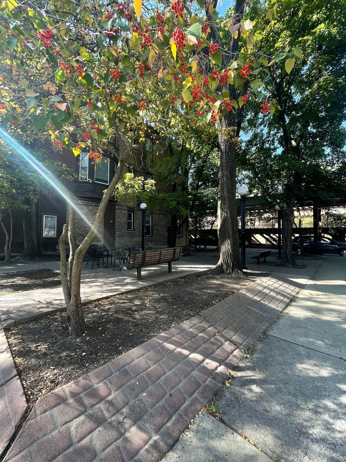Walking Journal: Icky Park. As I began my walk leaving my dorm… | by ...