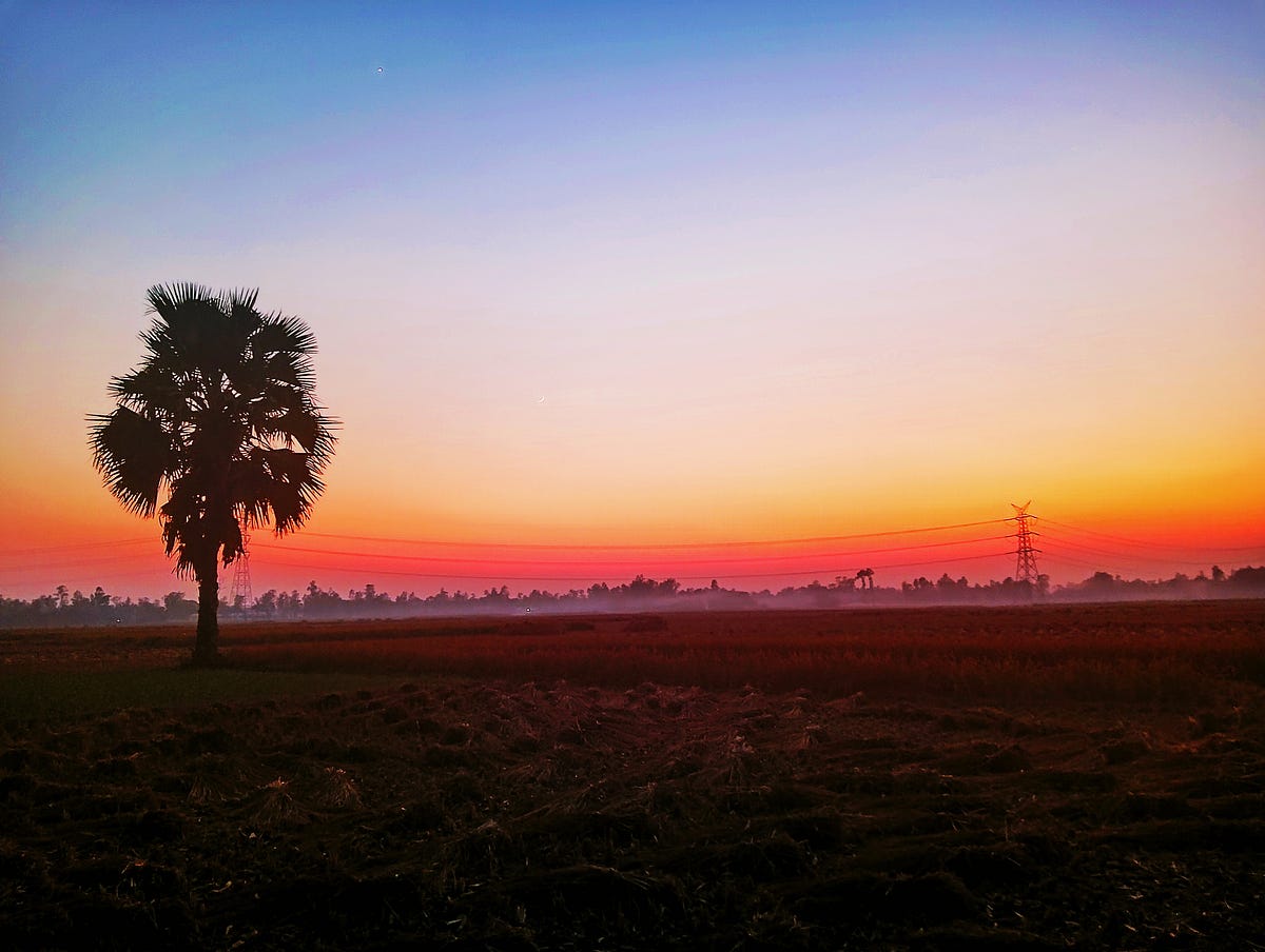 What Happens when you follow Nature? | by Niharika Nila | ILLUMINATION ...