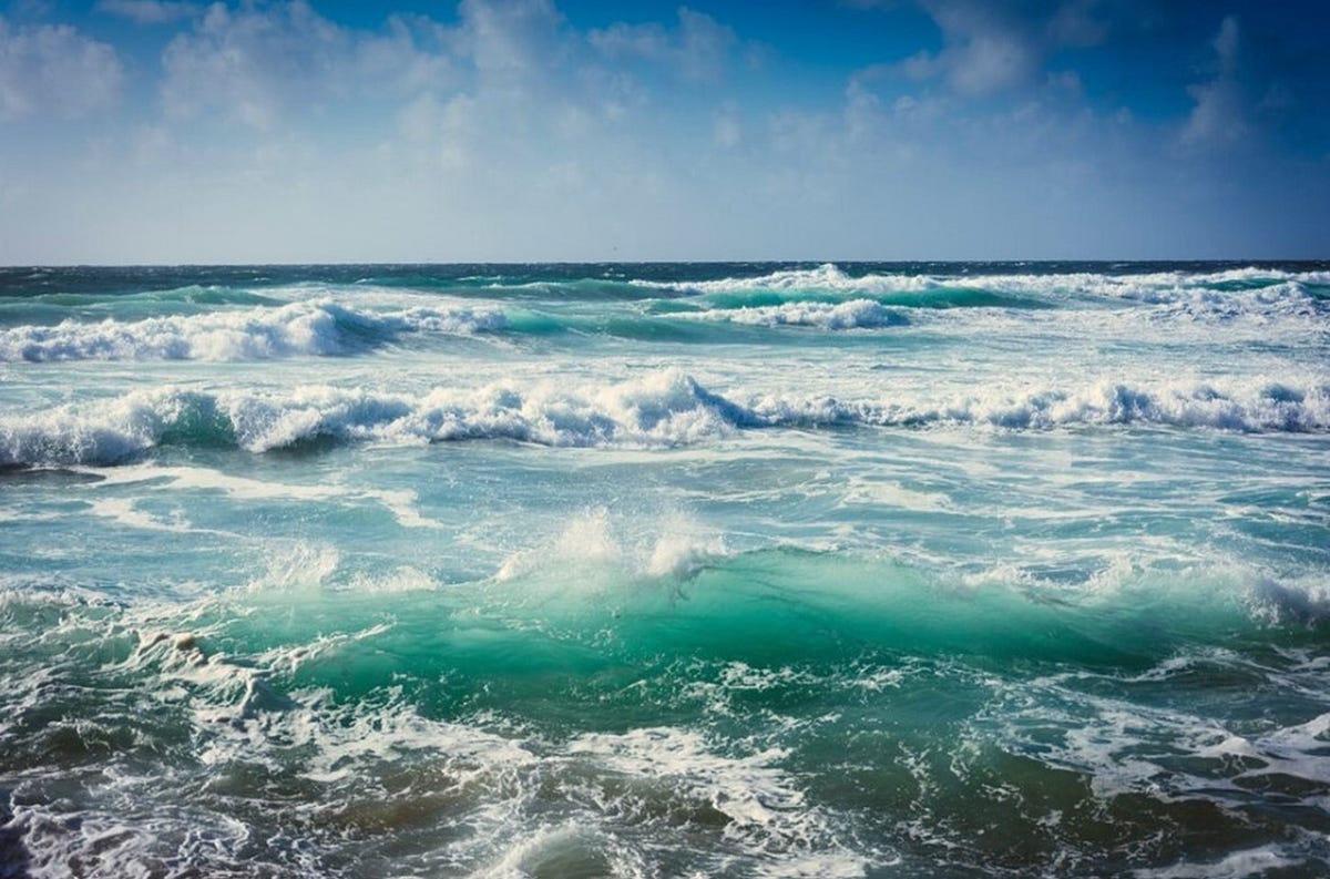 Whispers. “Salty Surfs” | by Kimmy Foulds Owner Strength By The Sea ...