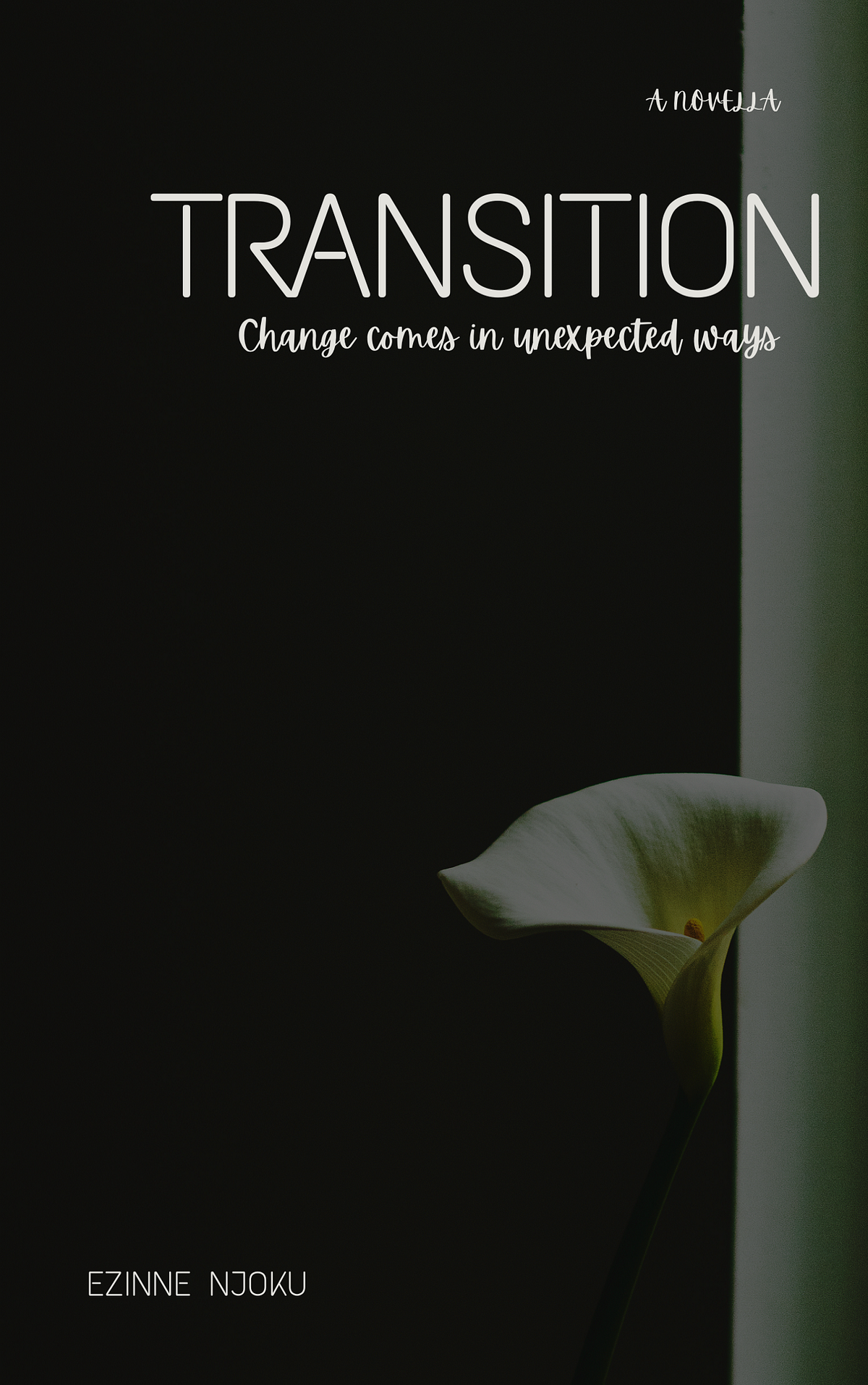 Transition — Chapter 3. “I was the first person to hear it that… | by ...