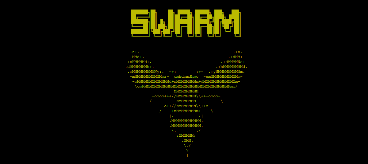 Guide: How to Setup SWARM in HiveOS | by Soliduz HS | Medium