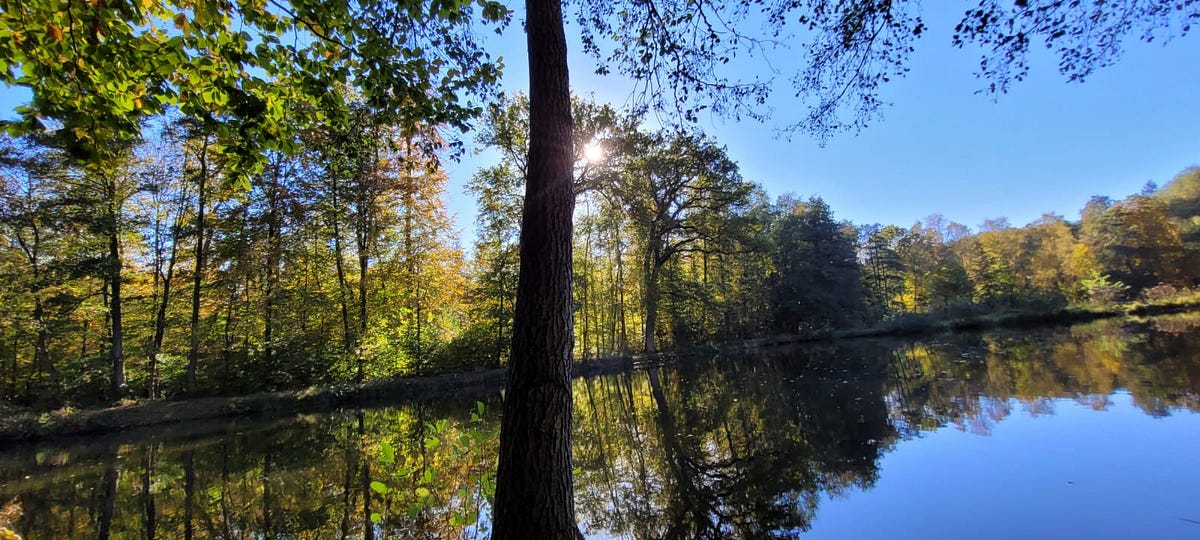 Singleton Design Pattern in Python for Begginers | Medium