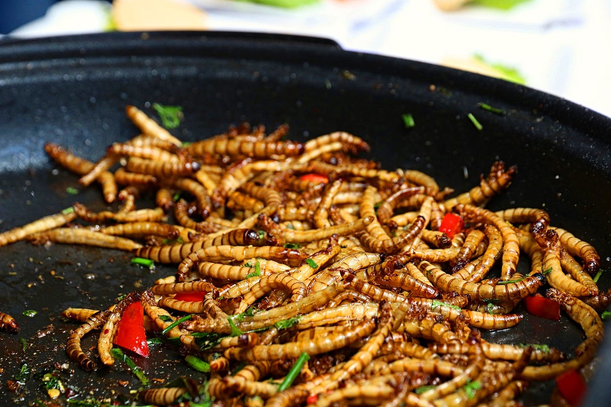 6 Reasons Why We Should Be Eating (Farmed) Insects | by Dr. Erlijn van ...