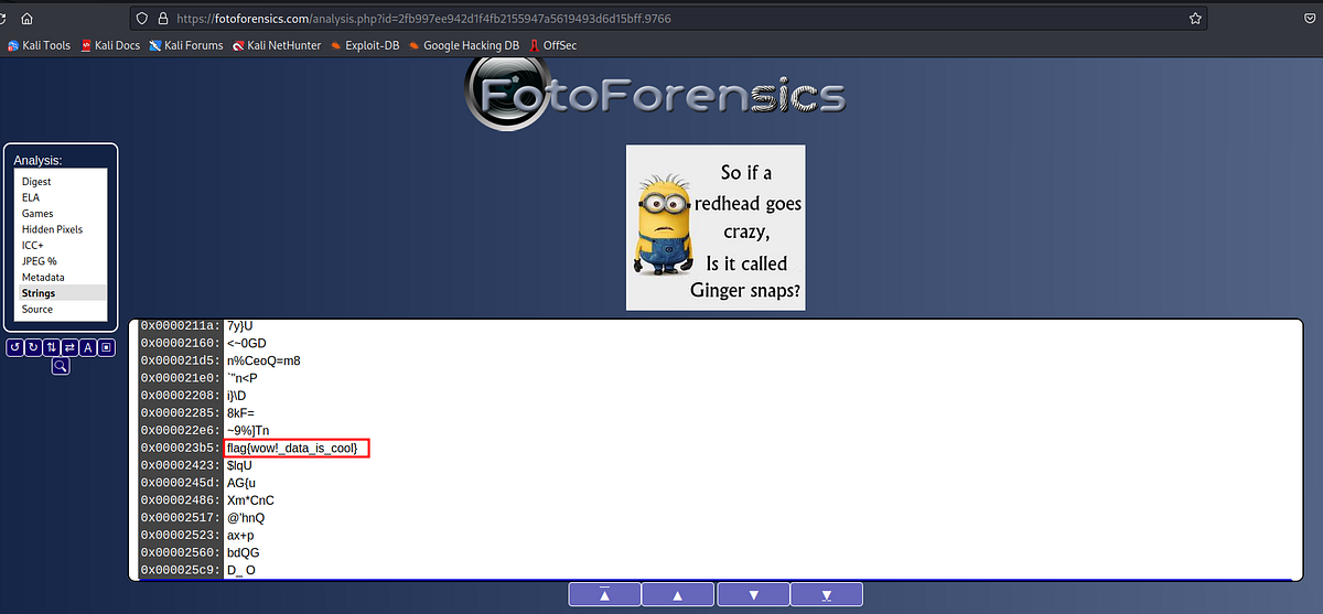 CTFLearn Series: Forensics 101 - Jax - Medium