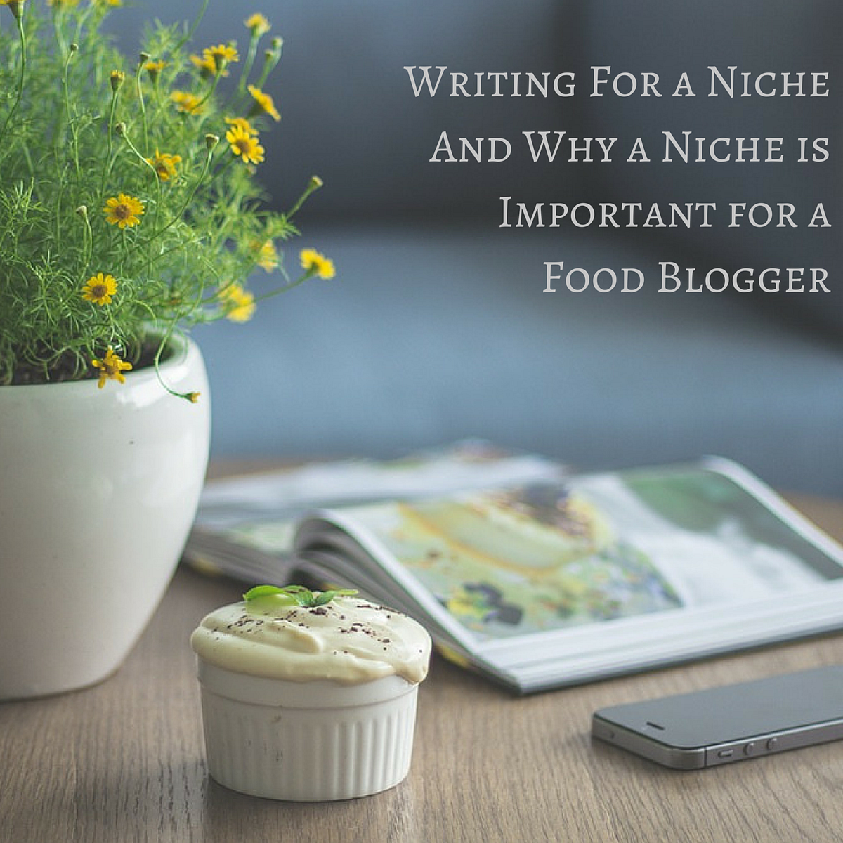 Writing for a Niche and Why a Niche is Important For a Food Blogger ...