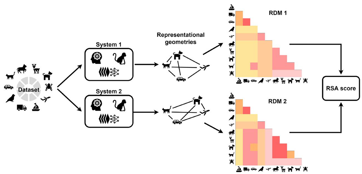 Computational Neuroscience : Exploring fMRI Data Analysis with Python | by Bhuvana_Venkatappa ...