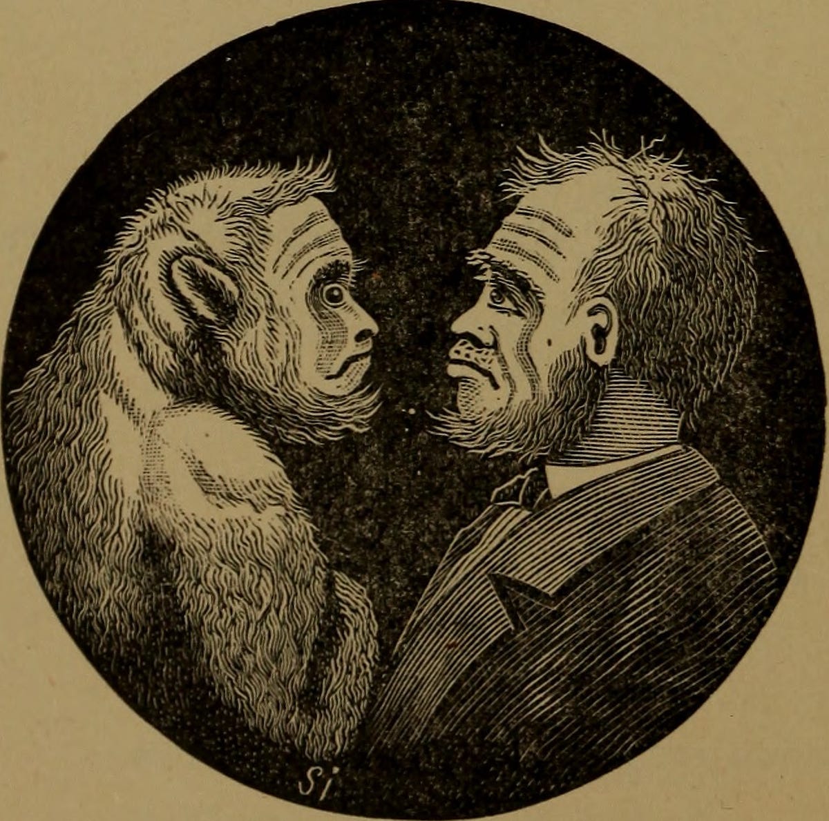 The Soviet Union’s human-ape hybrid experiment in 1930 | by Karthikeyan ...