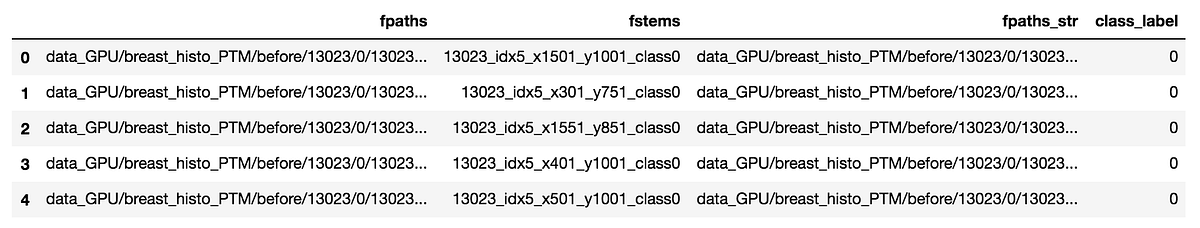 Train a cnn with the fastai library | by Deena Blumenkrantz | Deena Does Data Science | Medium