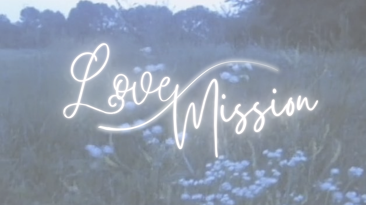 Love Mission (3). Avoiding from something they don’t… | by ...