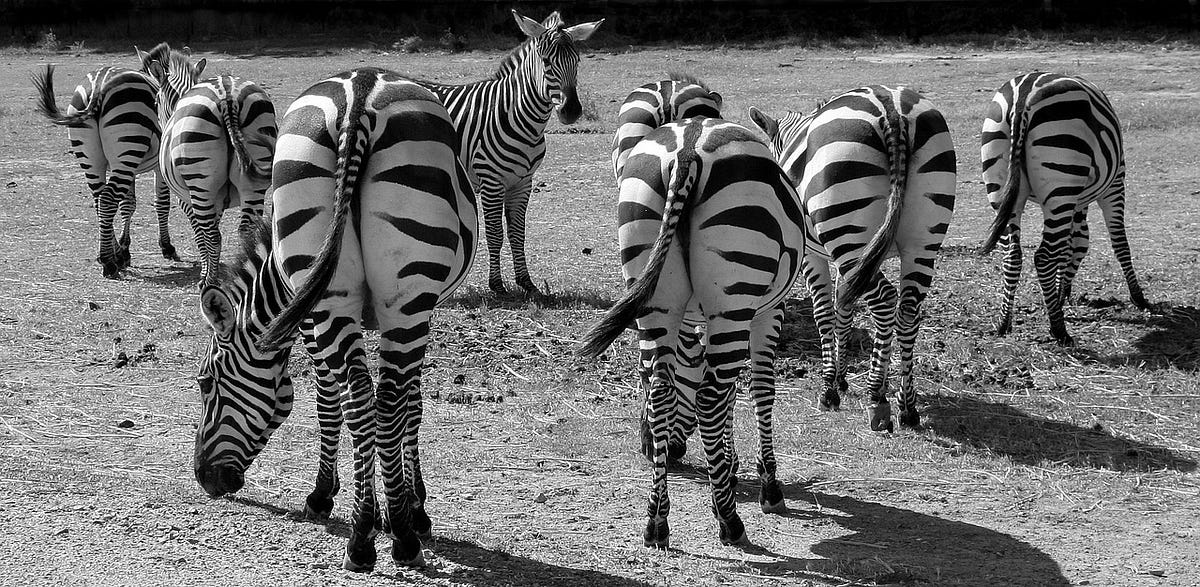 You Need To Get Rid Of Your ‘Buts’ | by Genola Johnson | Career ...