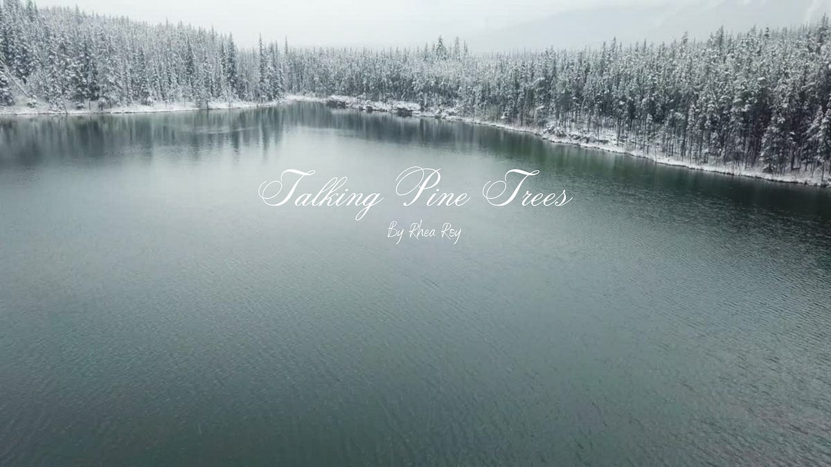 Talking Pine Trees. Amidst the icy land where snowflakes… | by Rhea Roy ...