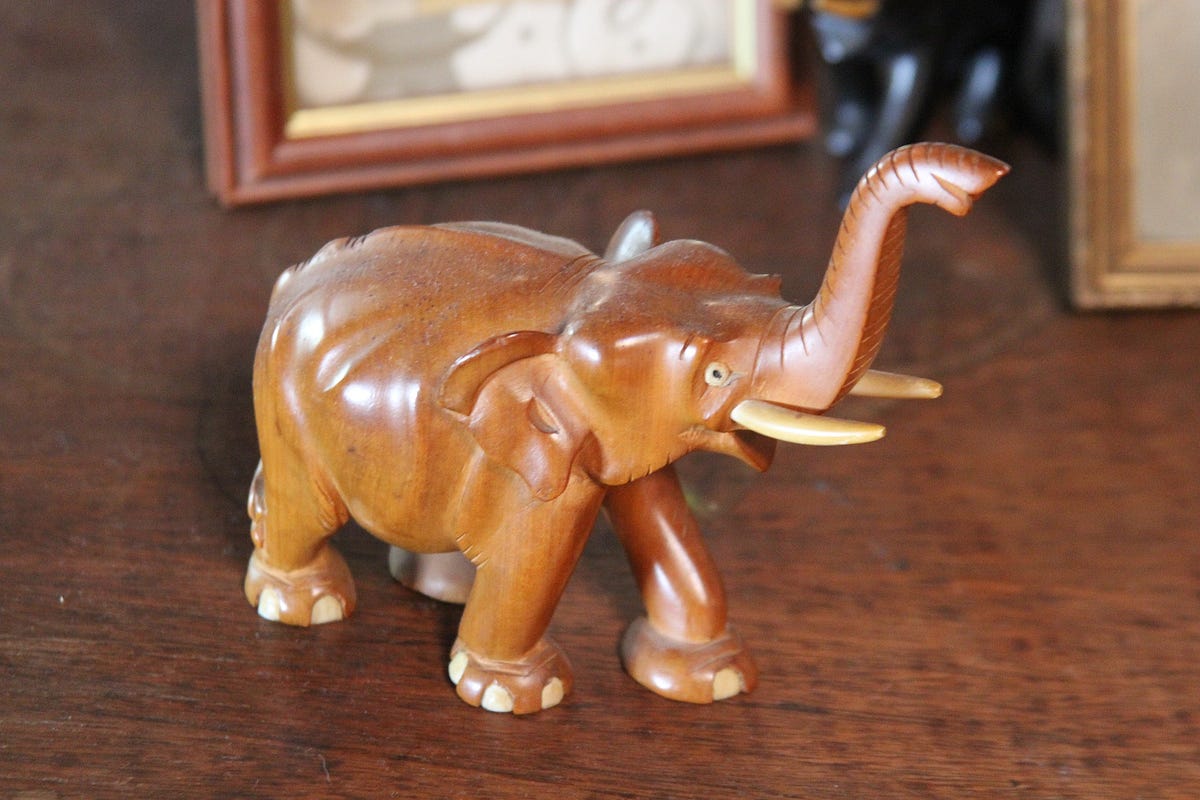 The Elephant Effect — Part 1. How one woman avoided the stampede and ...