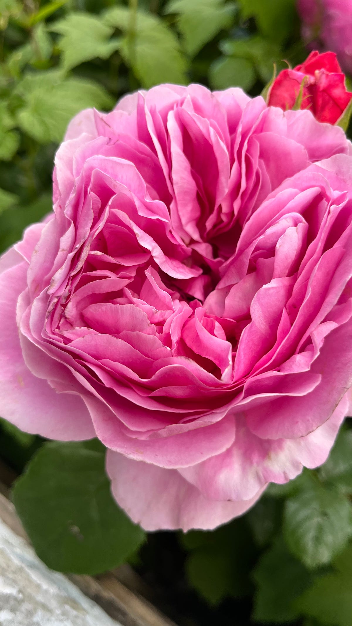 welcome back. | by Naomi Mudiay | Jun, 2024 | Medium