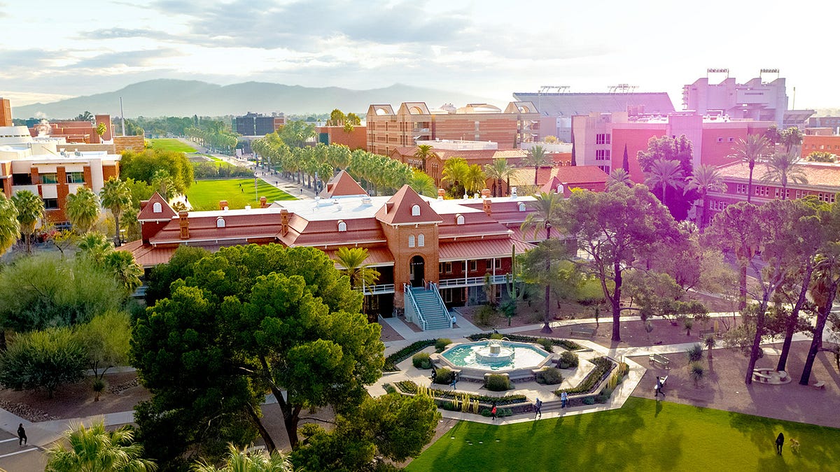 Stress-Free Sanctuaries: Discovering the Most Beautiful Study Spots at ...