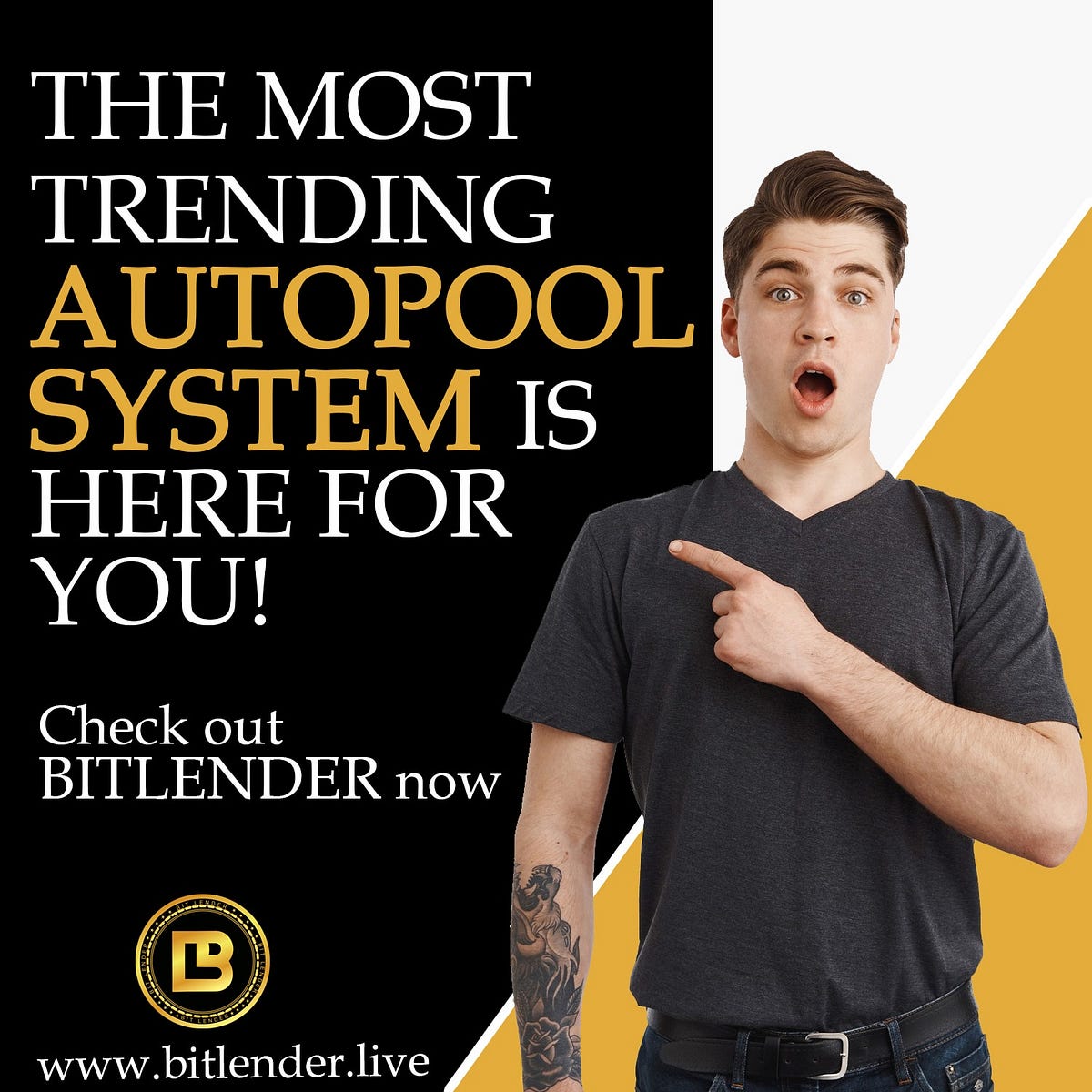 We are trending like never before!! Checkout the one of its kind Autopool system of Bitlender ...