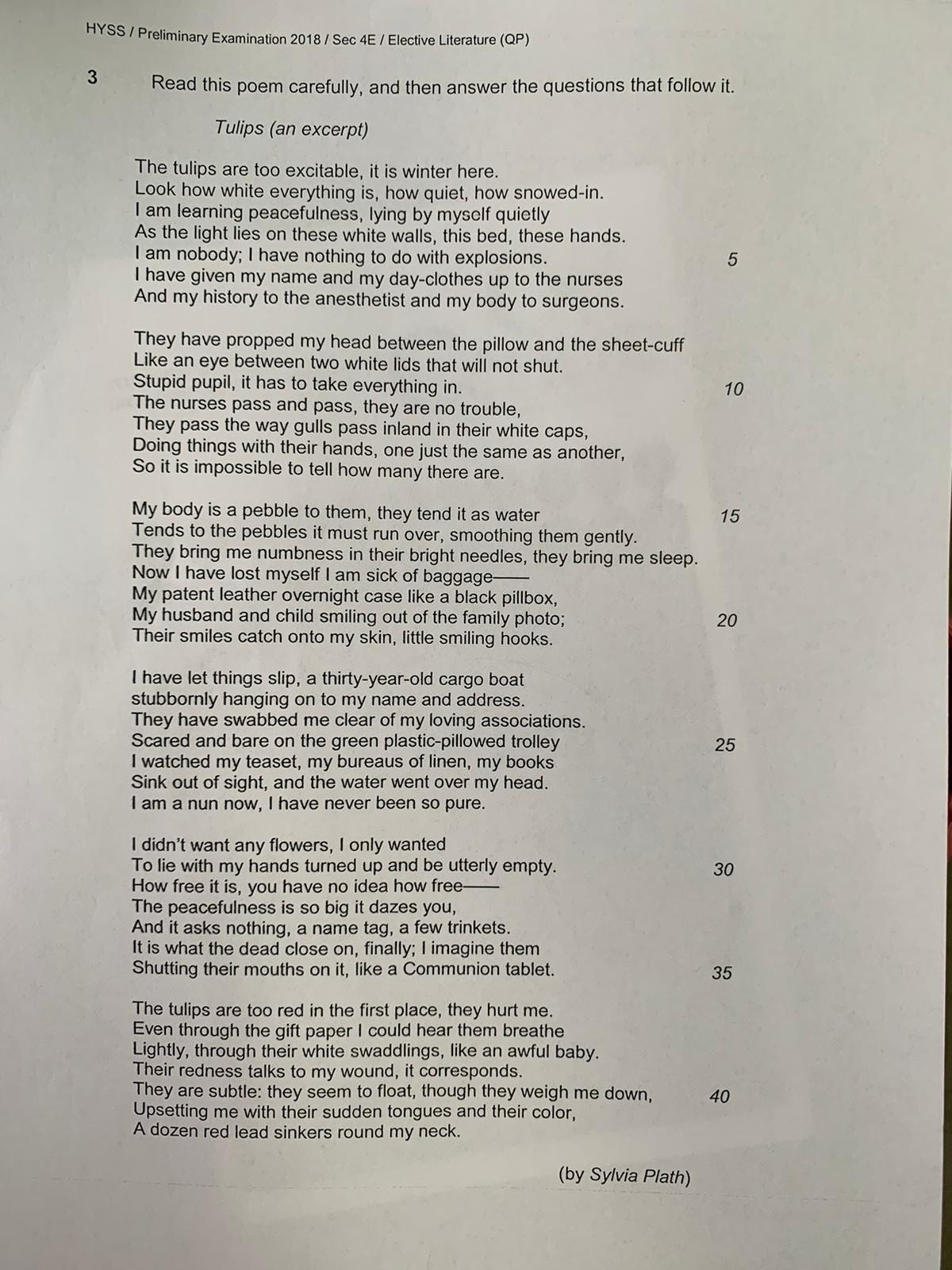 ‘Tulips (an excerpt)’ question-based poetry analysis | by Faith Low 刘慈恩 ...