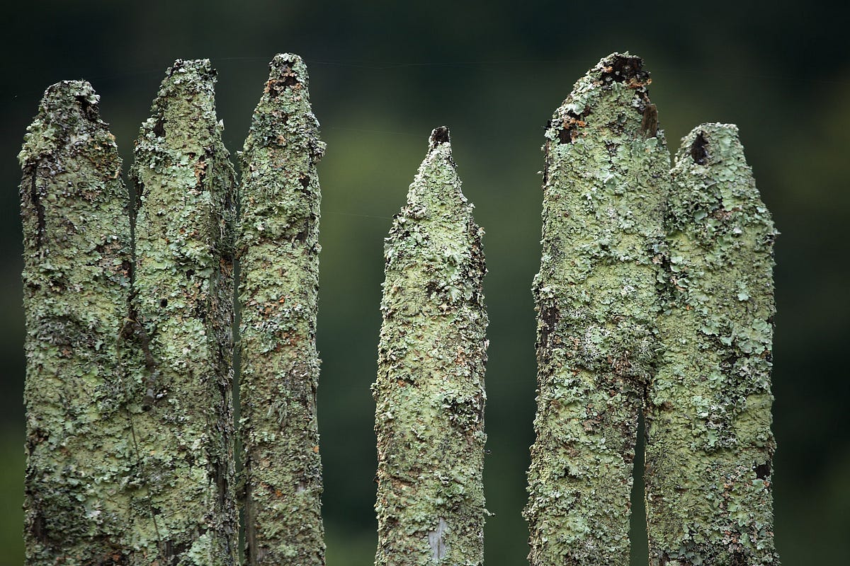 Automating open source project configuration with Mrm | by Artem Sapegin | HackerNoon.com | Medium