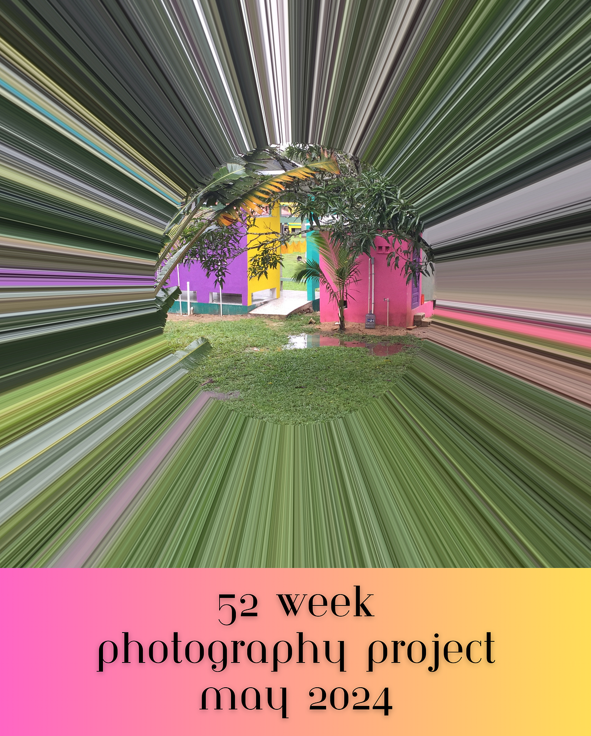 52 Week Photography Project. May 2024 Edition | by J Anderson | Full ...