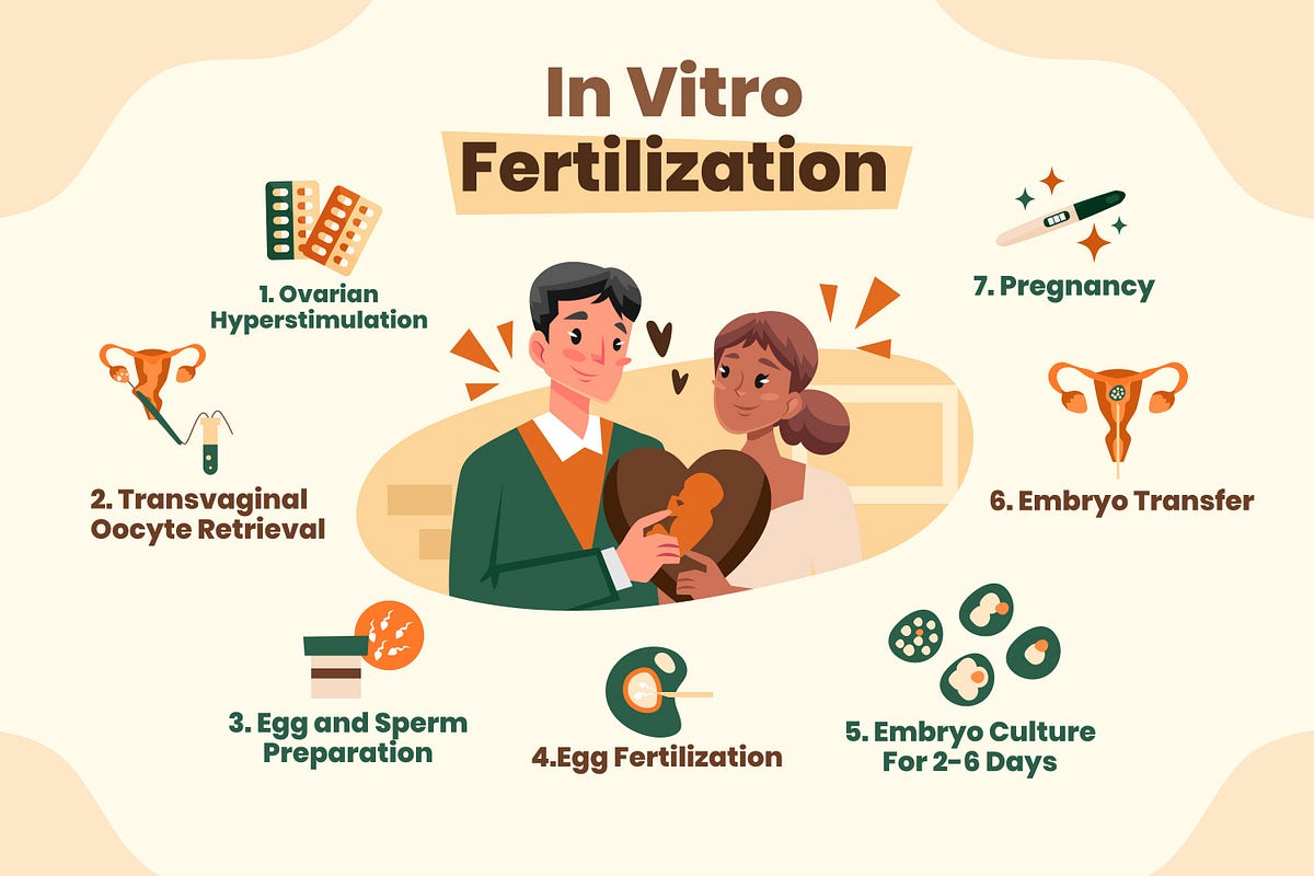 Learn The Steps of the IVF Process | by Lifeatgenomeindia | Medium