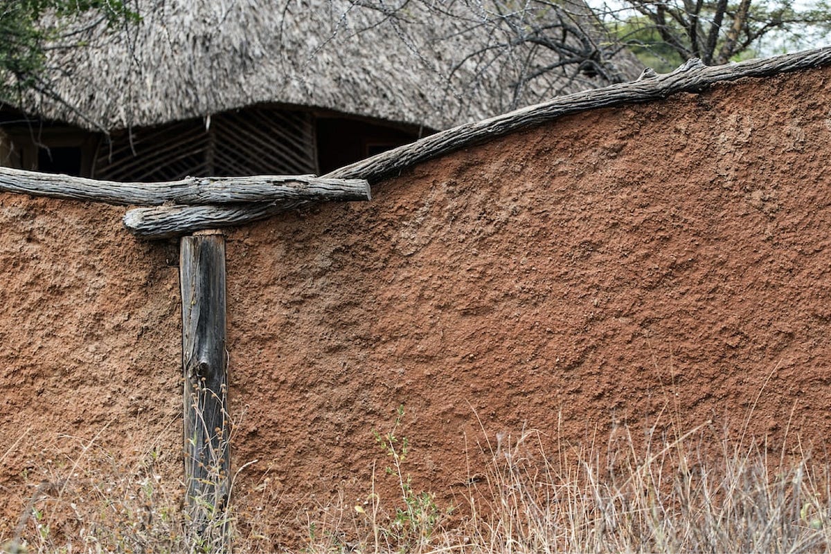 The Heavy Mud Wall Impaled Her Fragile Body | by Dr. Seema Patel (PhD ...