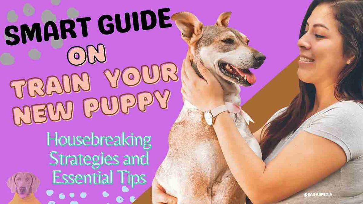 A Smart Guide on How to Train Your New Pup — Housebreaking Strategies ...