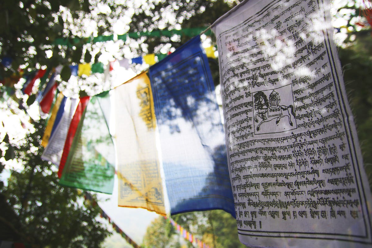 The Profound Teachings of the Dhammapada | by Birgit Kunzli | The Taoist Online