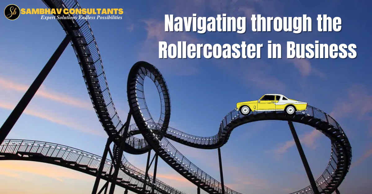 Navigating the Business Rollercoaster: Your Guide to Thriving Amidst ...