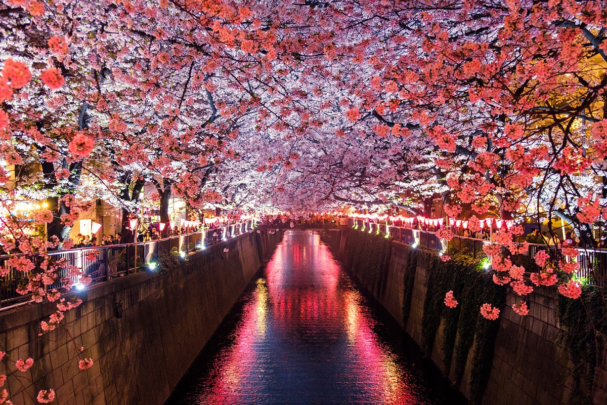 How Japan is so Clean. we know that Japan is very famous when… | by ...
