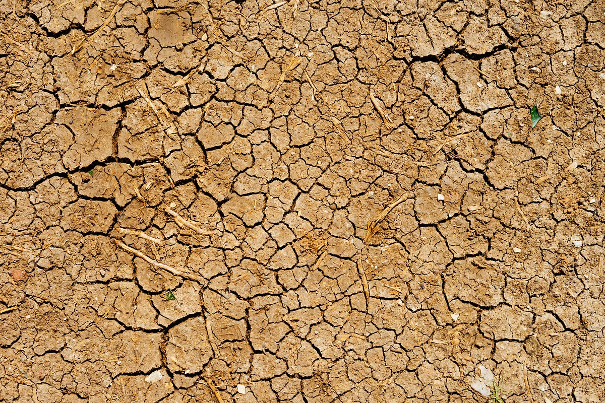 Spiritual poverty. “He raises the poor from the dust and… | by Edie ...