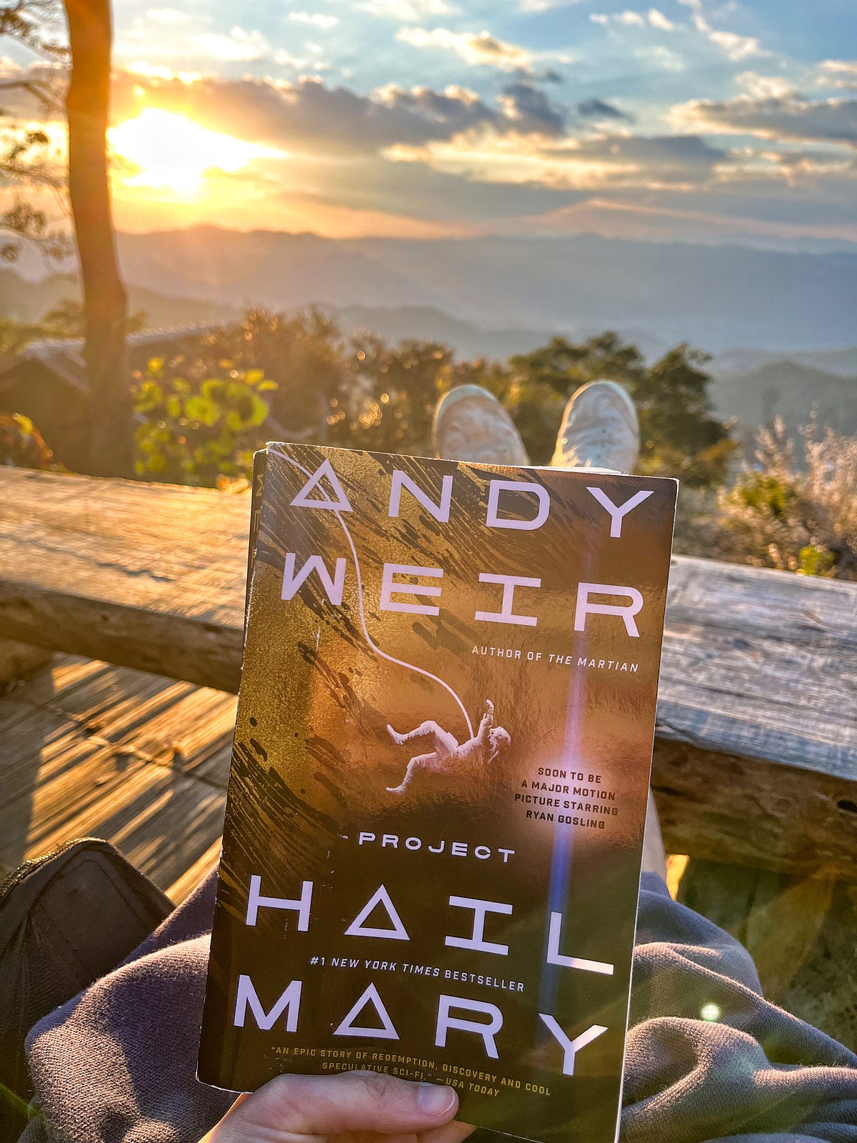 Book Review: Project Hail Mary by Andy Weir | by Petite Rebel | Jan ...