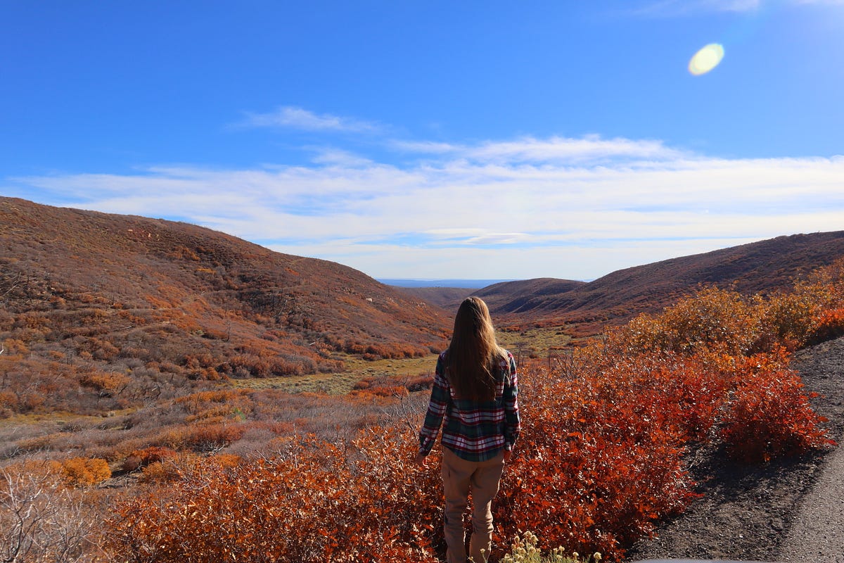 From New Age to… Normal?. My journey of moving from a fringe… | by ...