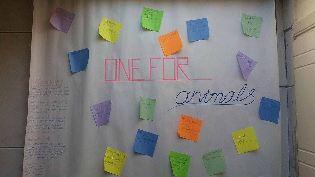 One For Animals: Brainstorming Time | by Iliana Chalimourda | Dare to ...