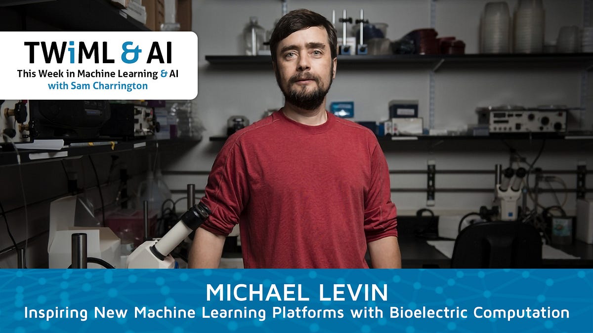 Inspiring New Machine Learning Platforms with Bioelectric Computation ...