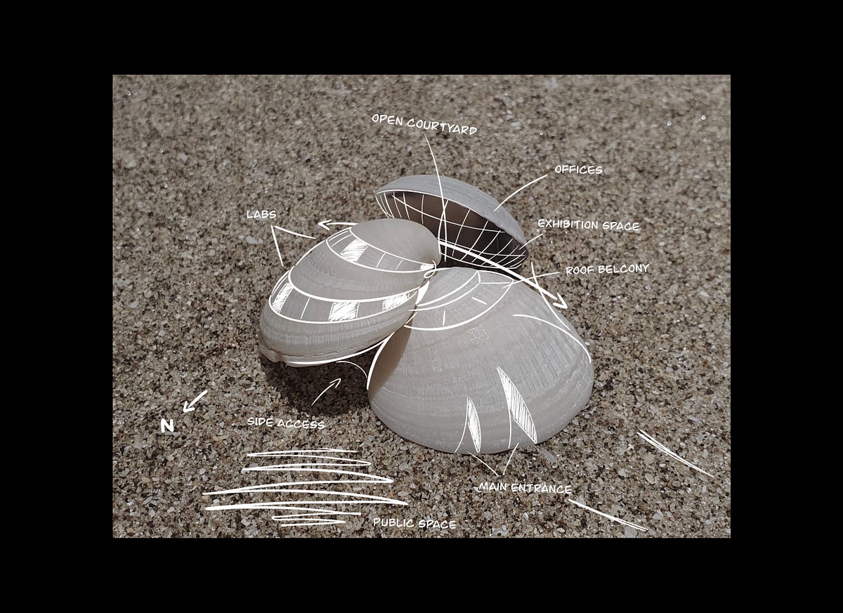 Seashell Architecture. 25|04|2020 | by rainrain | Medium