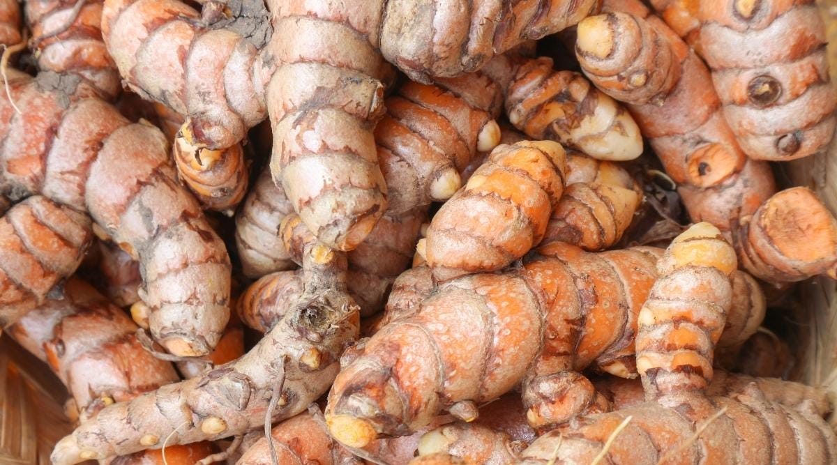 The Surprising Benefits of Turmeric for Your Health | by ProTips | Medium