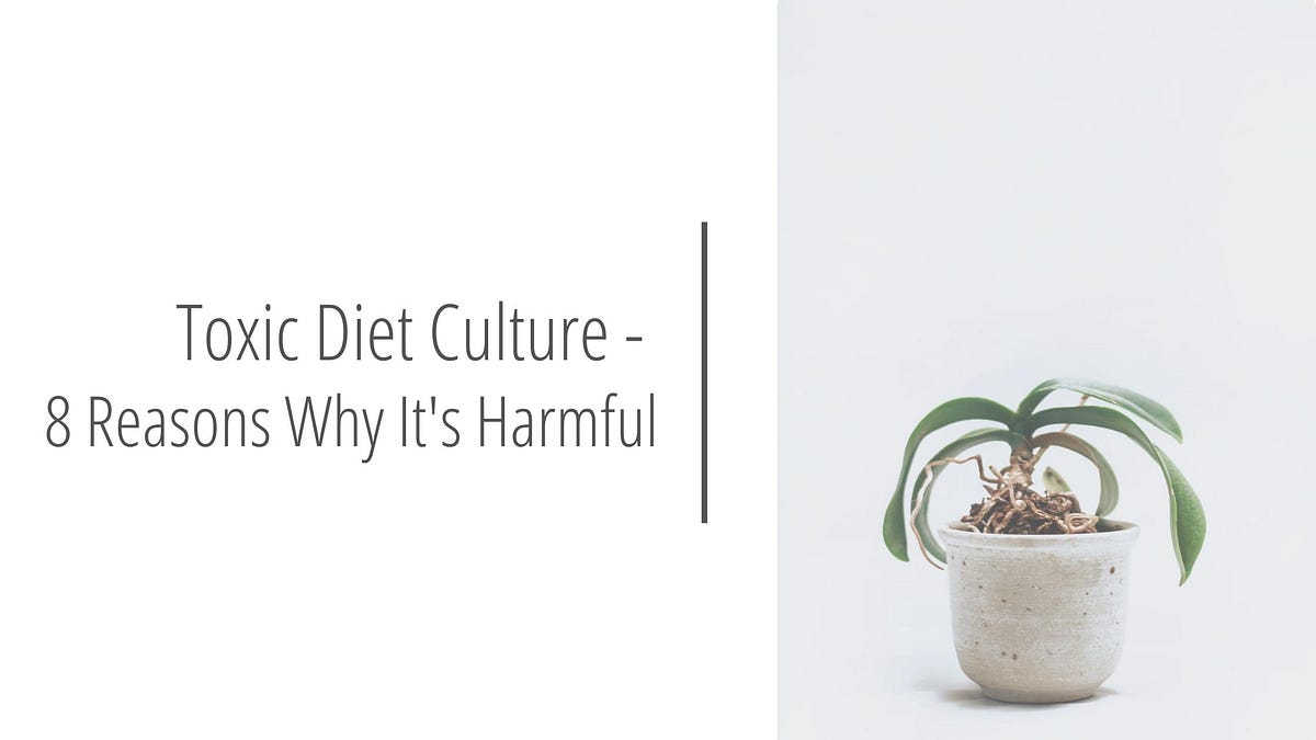 Toxic Diet Culture — 8 Reasons Why It’s Harmful | by Rachel Beiler, MHS ...