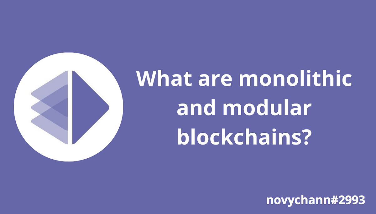 What are monolithic and modular blockchains? | by Anna Turchmanovych | Medium