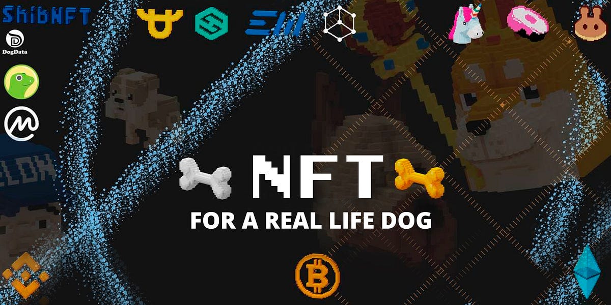 Art NFT. These Are Not Just Pictures. NFT For A Real-Life Dog. | by ...