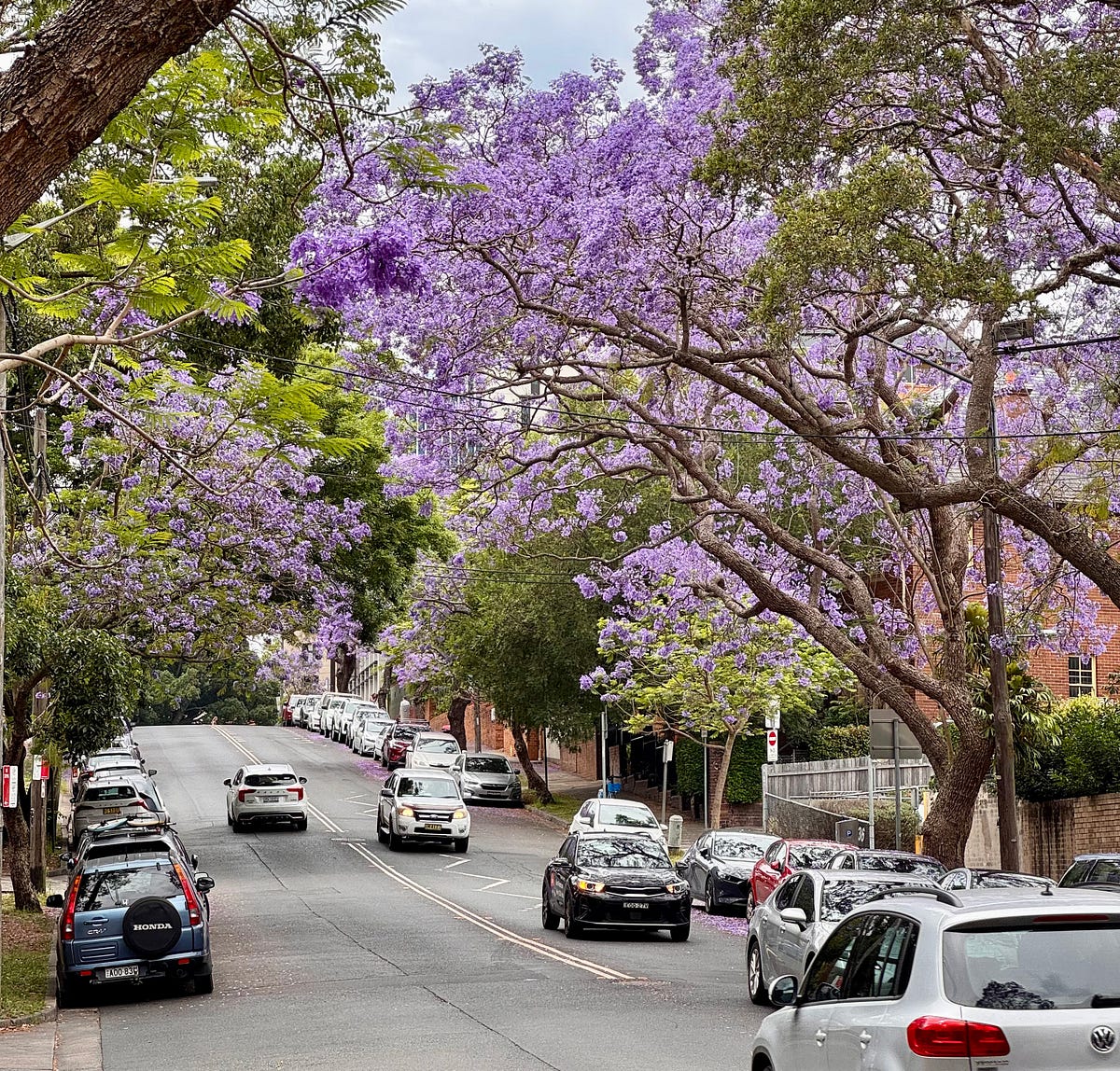 City in the Sea of Purple. January Six Word Photo Story Challenge… | by ...