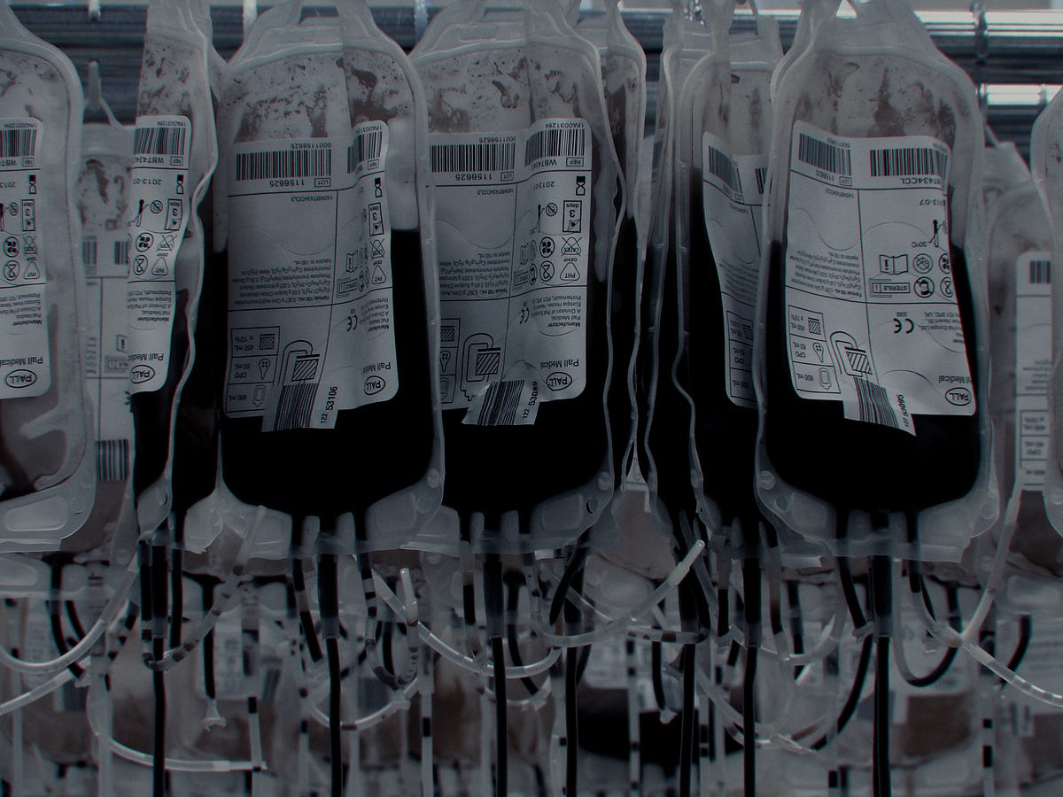 Breaking Down the Blood Barrier. Photo By Natan Vance… | by Andrew ...