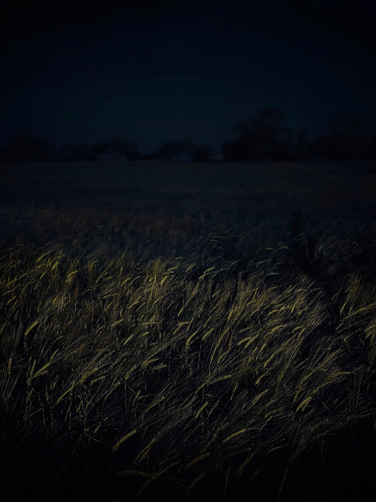 Underground. Pitch black sky Dim lantern glow Muted… | by Tekia Lampkin ...