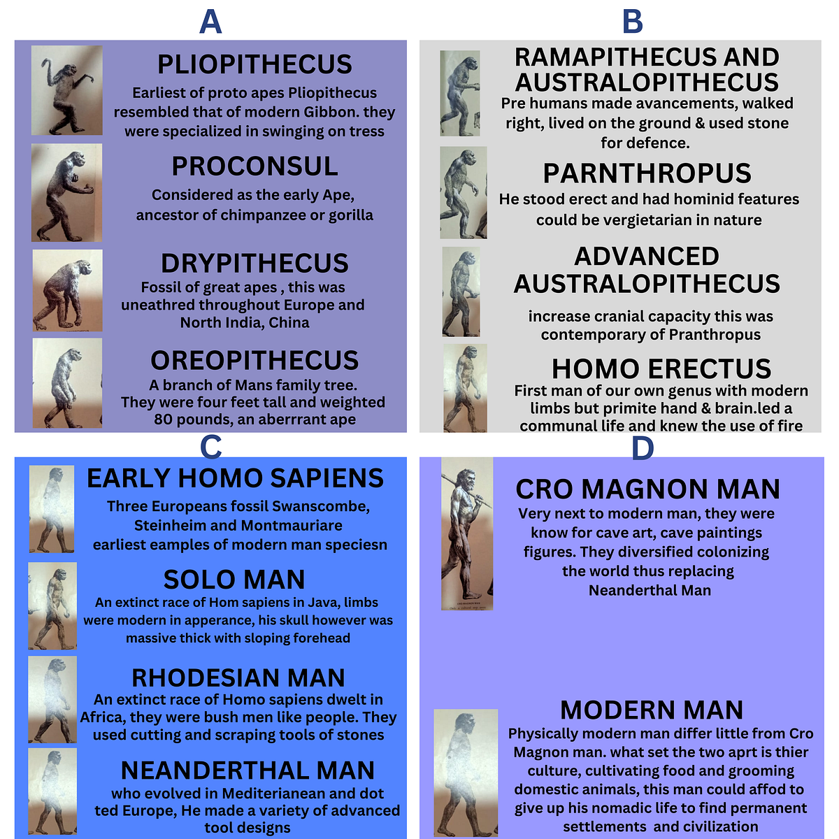 EARLY MAN. Understanding our Ancestors- | by Madisetti Raveendra Kumar ...