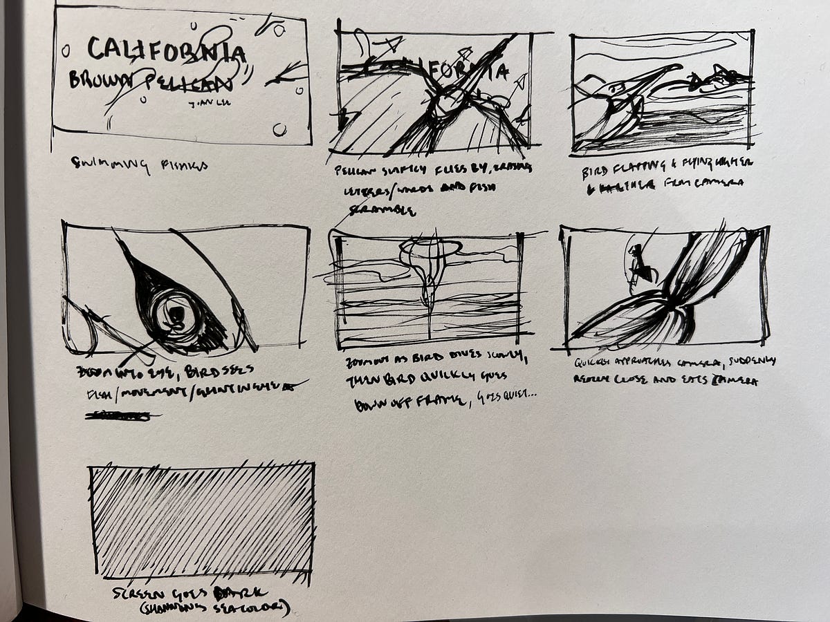 Animal Project — Part 3. Create a stop-motion animation that… | by Joan ...
