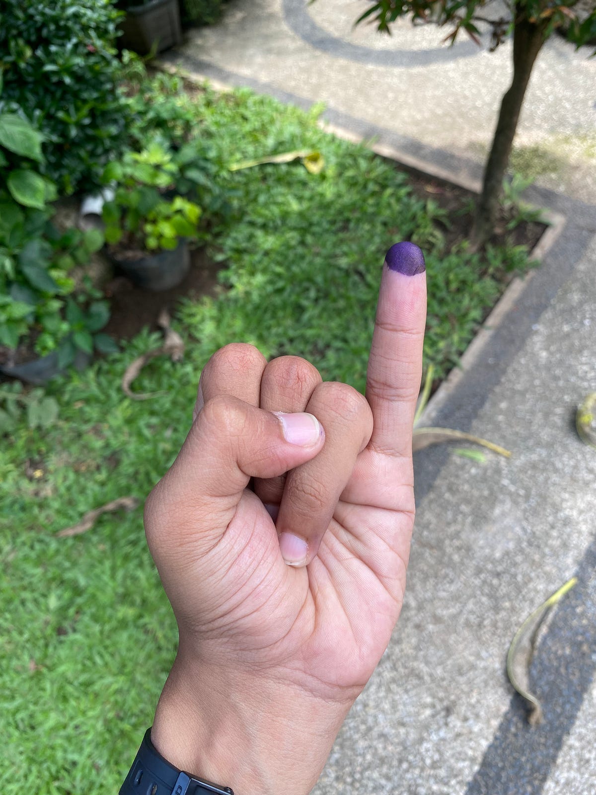 Silakan berdansa atau beretorika; inilah hari demokrasi menjadi raja ...