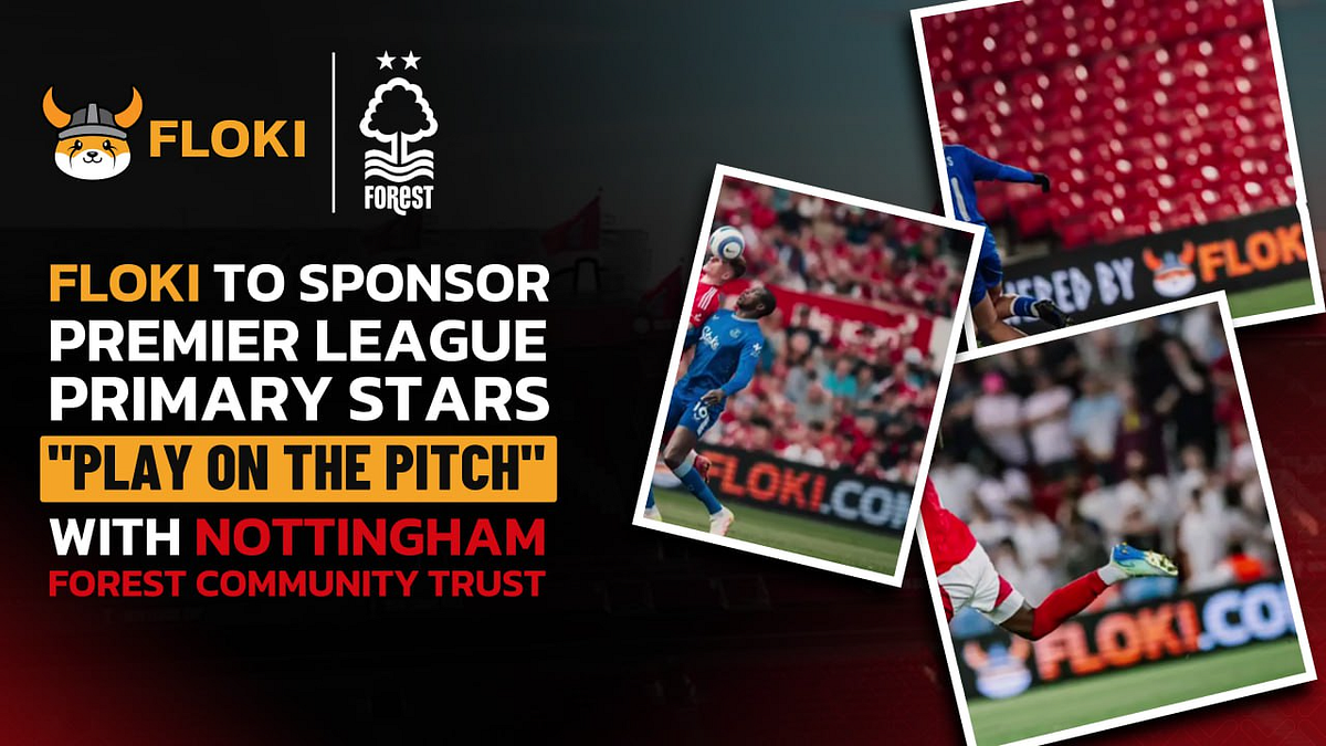 Floki to Sponsor Premier League Primary Stars “Play on the Pitch” with ...