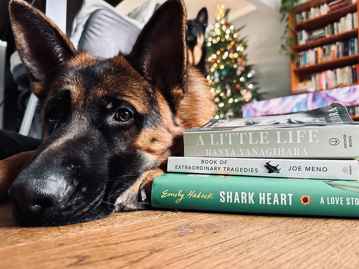 ‘Top 3’ Books From 2023 Reading List | by Samantha Chacon | Medium