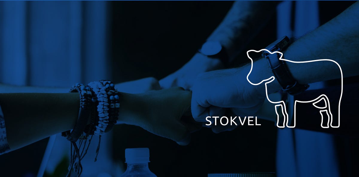 App Concept: Stokvel. Photo by rawpixel.com on Unsplash | by Tawanda ...