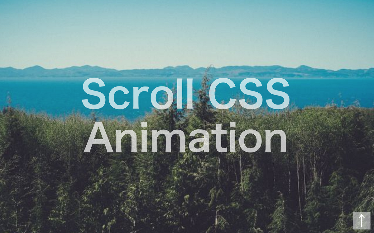 Scroll Fadein CSS Animation. Background | by Atushi / Asagiri Design ...
